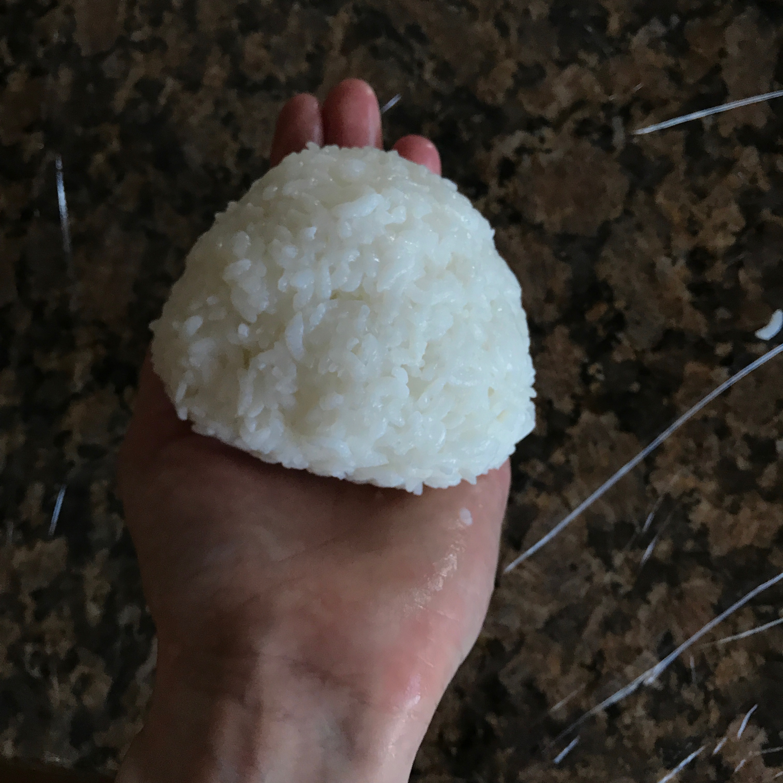 Onigiri Instructions