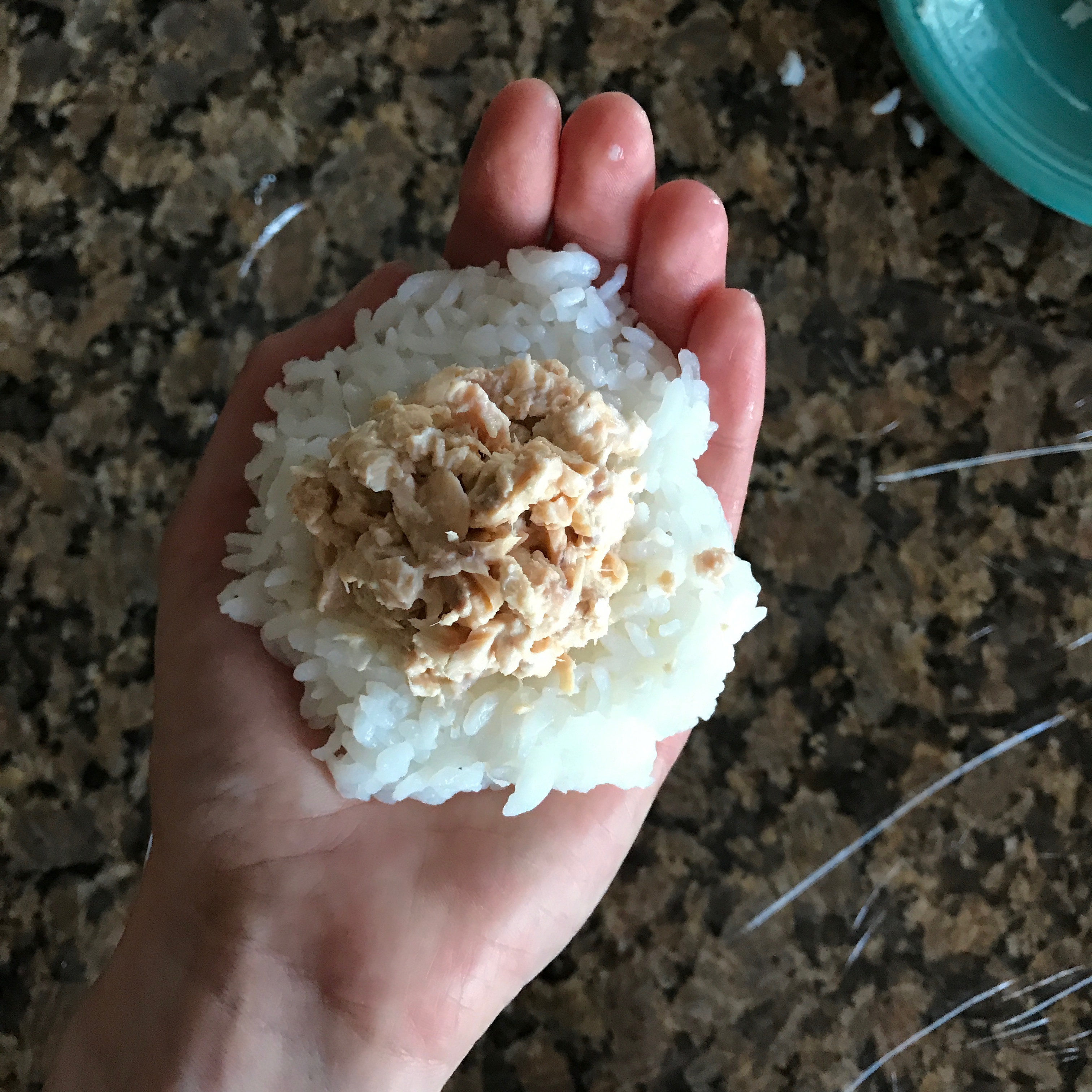 Onigiri Instructions