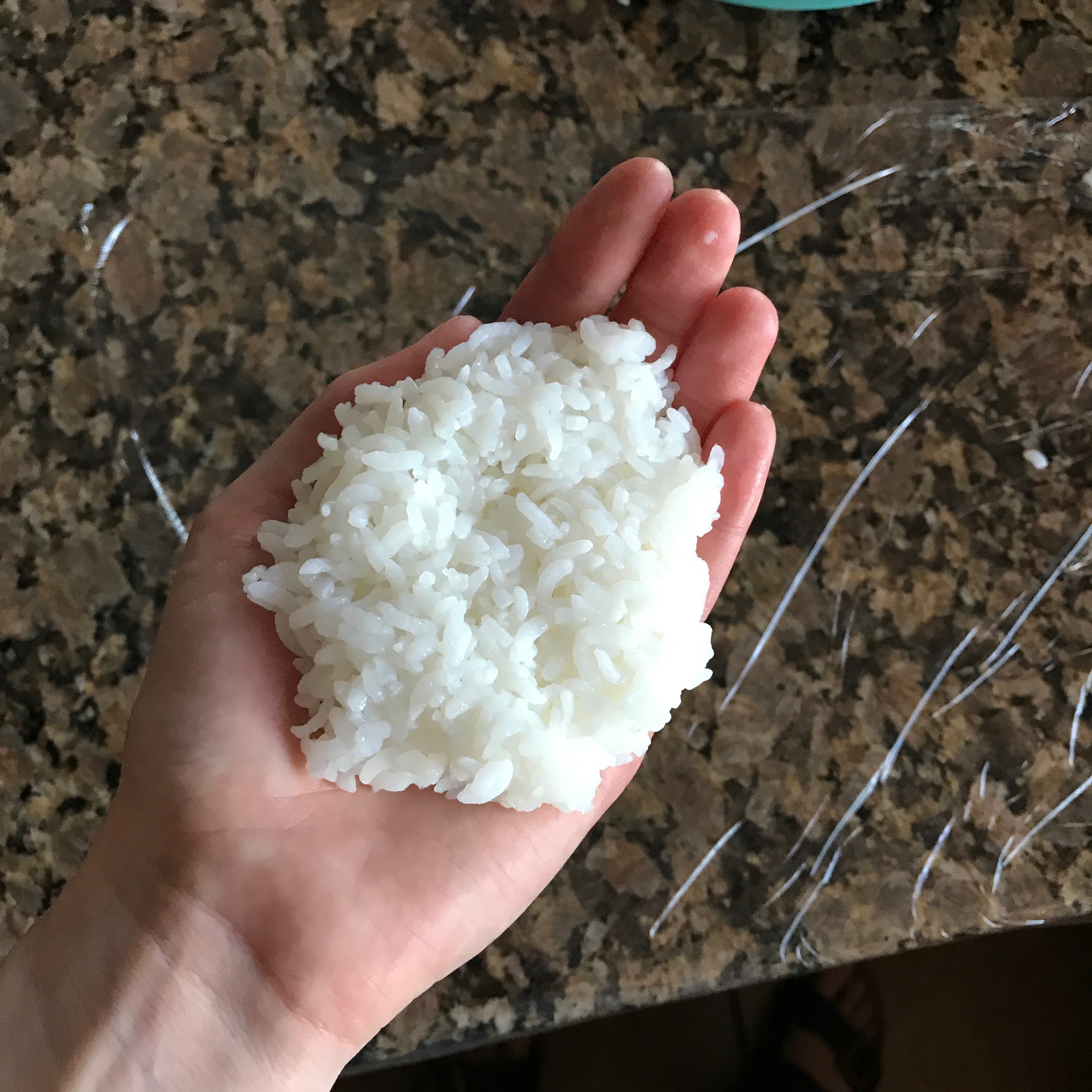 Onigiri Instructions